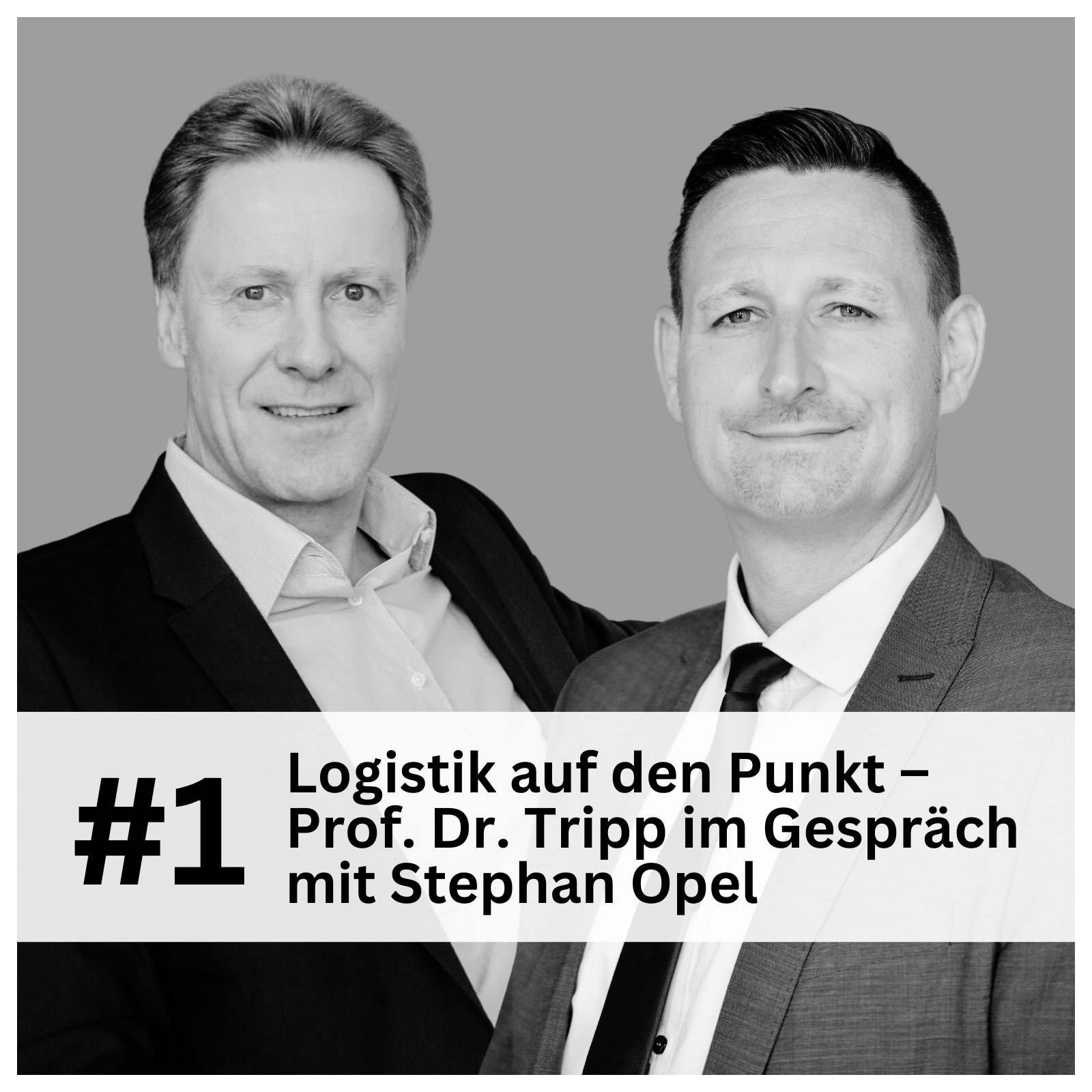 Logistik auf den Punkt – Prof. Dr. Tripp im Gespräch mit Stephan Opel ...